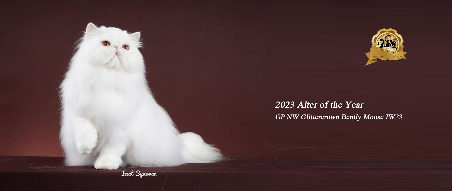 Show All Recent events